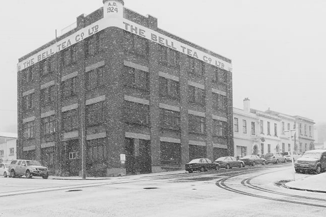 Full of Feel Alive Flavour | Bell Tea NZ